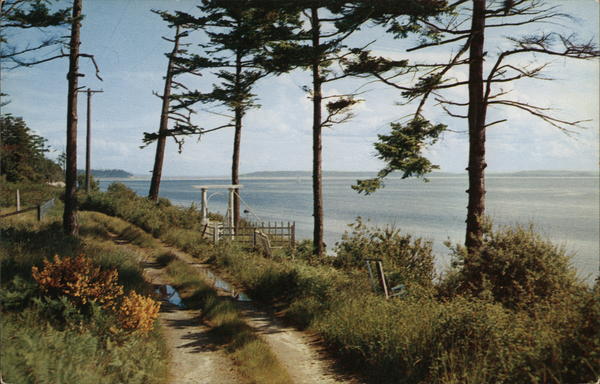 Admiralty Inlet on Puget Sound, Whidbey Island Hansville, WA Postcard