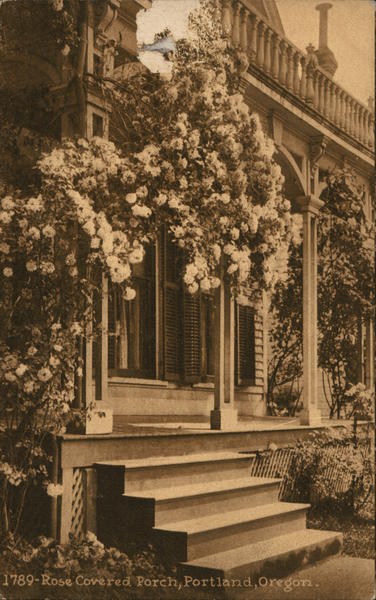 Rose Covered Porch Portland, OR Postcard