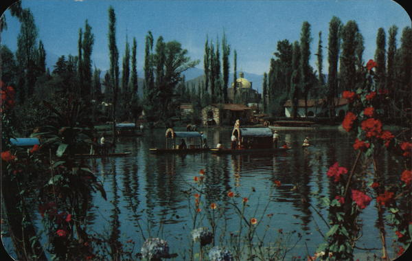 Xochimilco, Landscape with Flowers Mexico Postcard