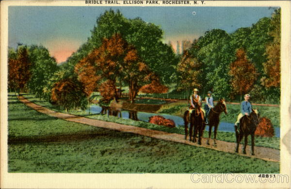 Bridle Trail, Ellison Park Rochester, NY