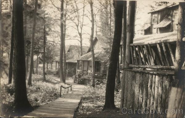 Rustic Log Cabins in the Forest Landscapes Postcard