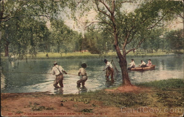 Fish Hatcheries, Forest Park St. Louis, MO Postcard