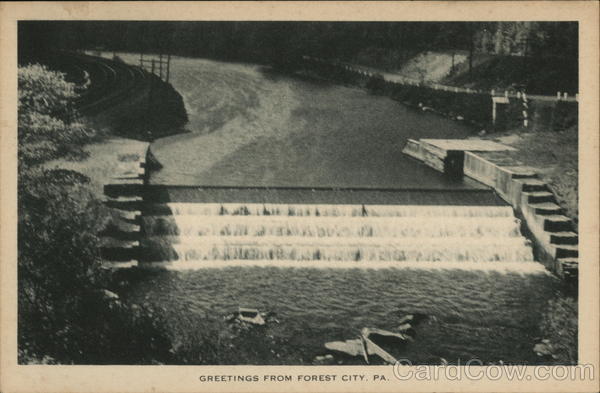 Greetings From Forest City, Waterfall Pennsylvania Postcard