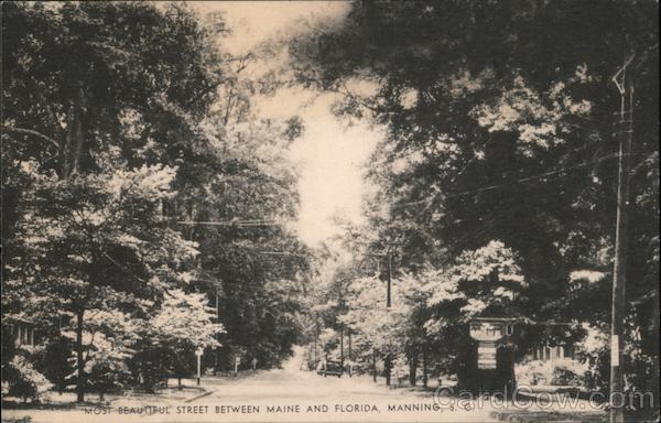 Most Beautiful Street Between Maine and Florida Manning, SC Postcard