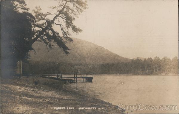 Forest Lake Winchester, NH Postcard