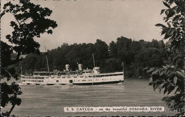 S.S. Cayuga Boats, Ships Postcard