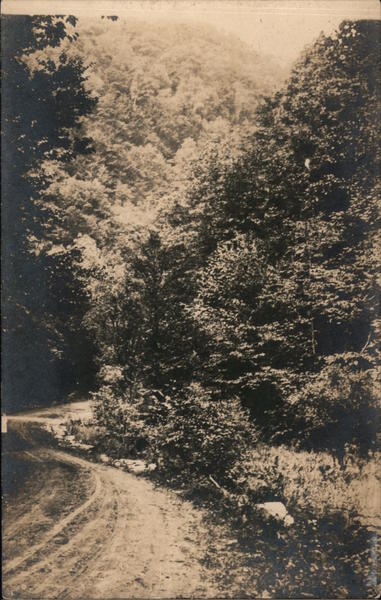 Wooded Country Scene Proctorsville, VT Postcard