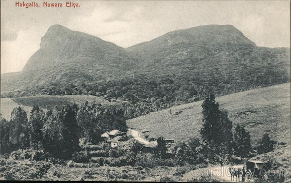 Hakgala Nuwara Eliya, Sri Lanka Southeast Asia Postcard
