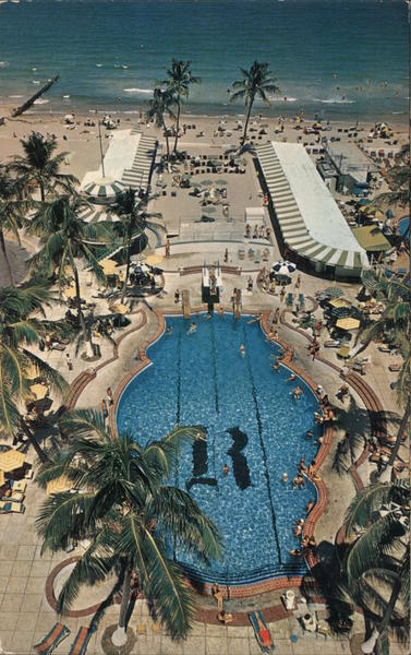 The Raleigh Hotel Miami Beach, FL Postcard
