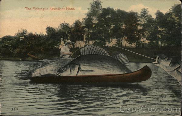 Giant fish in a canoe: "The fishing is excellent here Exaggeration Postcard