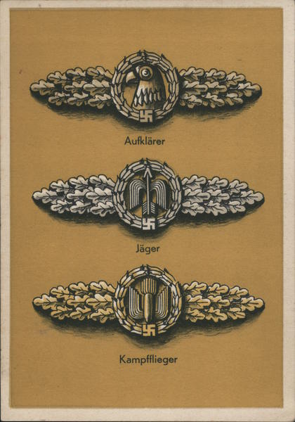Medals, "Symbols of Honor" - ForObservation, Combat, Fighter Airplane ...