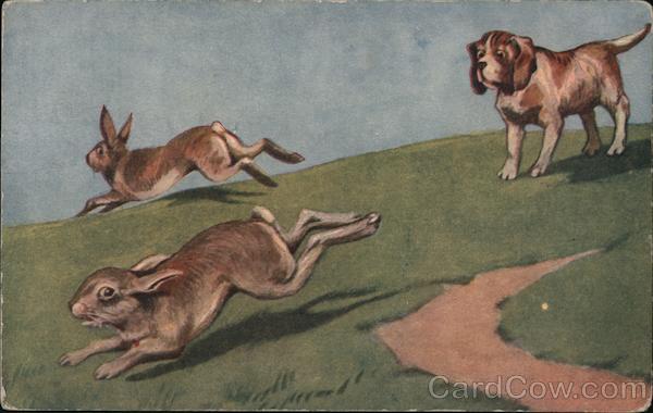 How Do I Get My Dog To Stop Chasing Rabbits