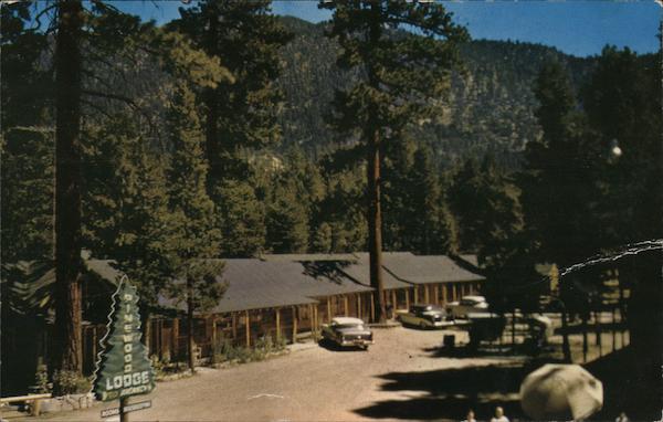 Pinewood Lodge Bijou, CA Postcard