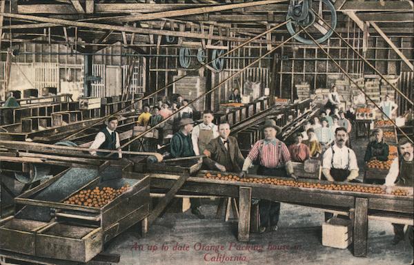 An up to date Orange Packing house California Postcard