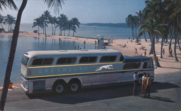 Greyhound Super Scenicruiser Buses Postcard