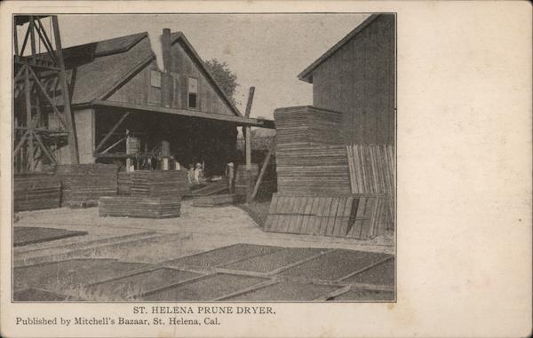 ST. Helena Prune Dryer Saint Helena, CA Postcard