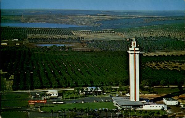 Aerial View Citrus Tower Clermont, FL