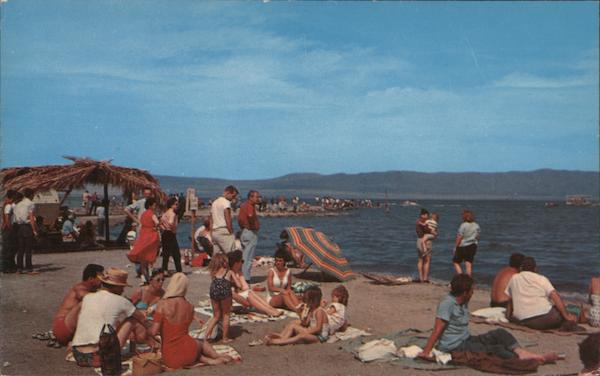 Beach Scene Salton Sea Beach, CA Postcard