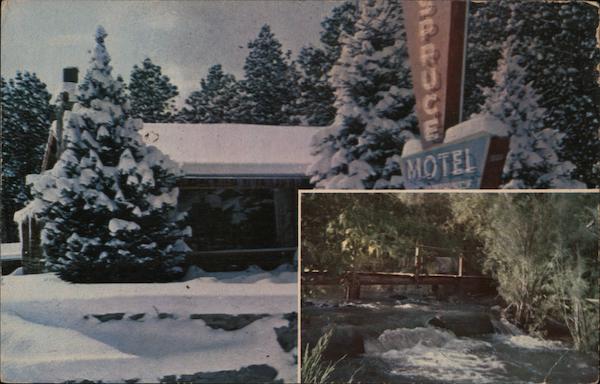 Blue Spruce Motel Ruidoso, NM Postcard