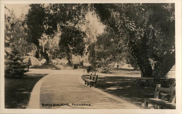 Busch Gardens Pasadena, CA Postcard