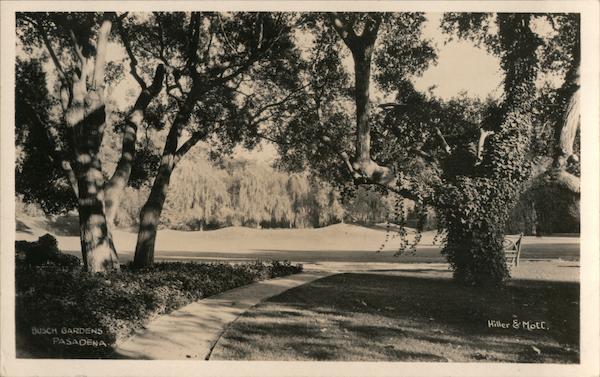 Busch Gardens Pasadena, CA Postcard