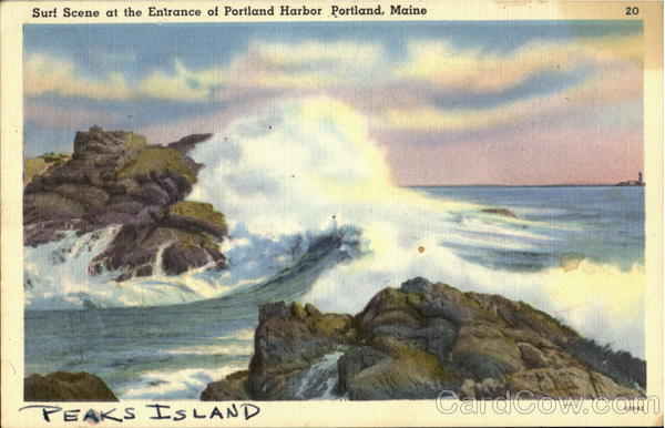 Surf Scene Peaks Island Portland, ME