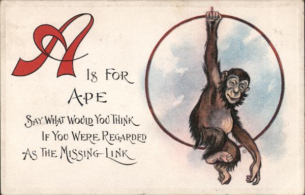 A Is For Ape Say What You Would Think, If You Were Regarded As The ...