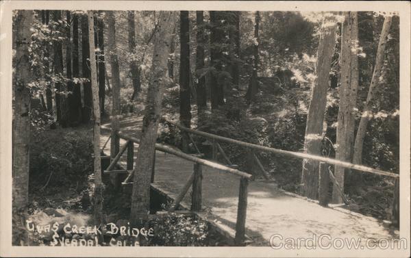 Tivas Creek Bridge Sveadal, CA Postcard