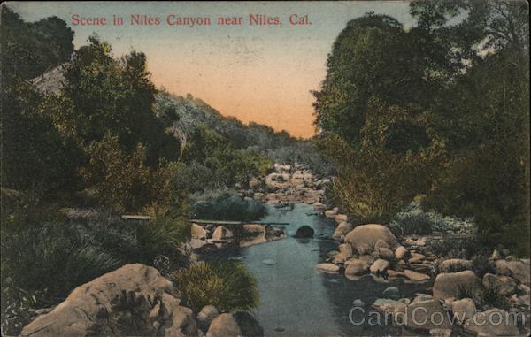 Scene in Niles Canyon near Niles, Cal. California Postcard