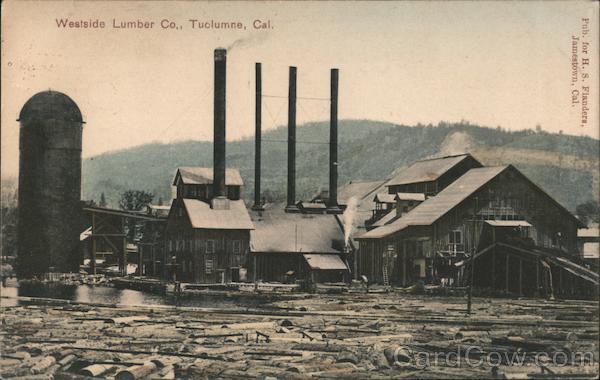 Westside Lumber Co. Tuolumne, CA Postcard