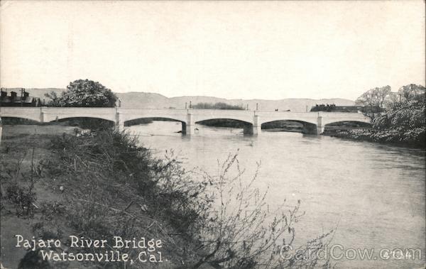 Pajaro River Bridge Watsonville, CA Postcard