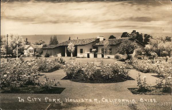 View of City Park Hollister, CA Postcard