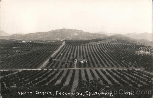 Valley Scene Escondido, CA Postcard
