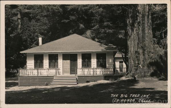 The Big Tree Inn La Honda, CA Postcard