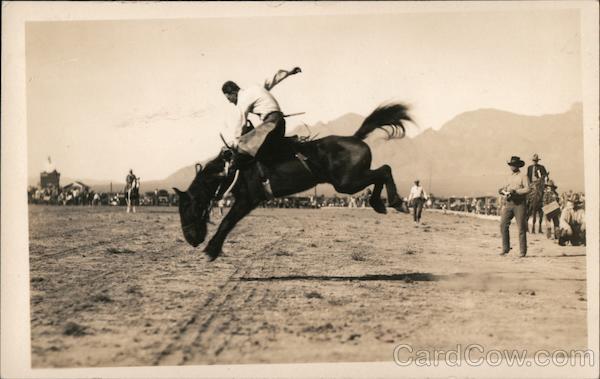 Man riding a bucking bronco Rodeos Postcard