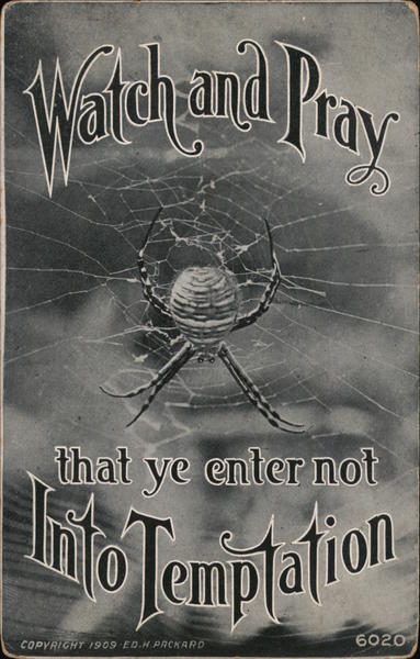 Spider Web: Watch and Pray That Ye Enter Not Into Temptation: Church of ...