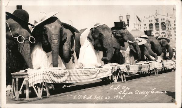 Elephants Wearing Hats - Cole Bros. Clyde Beatty Circus, 1936 Los ...