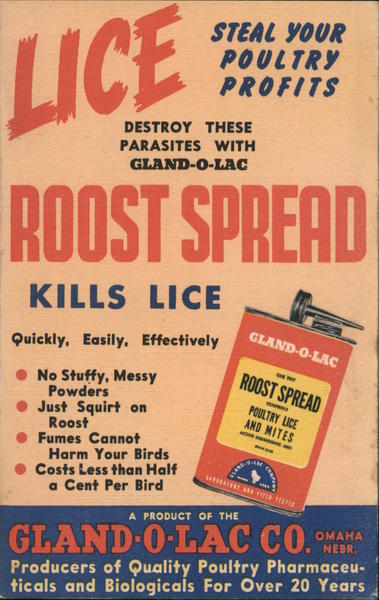 Gland-O-Lac Co. Roost Spread Lice Ad Omaha, NE Advertising Postcard