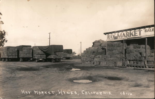 Hay Market, Hynes-Clearwater Paramount, CA Postcard