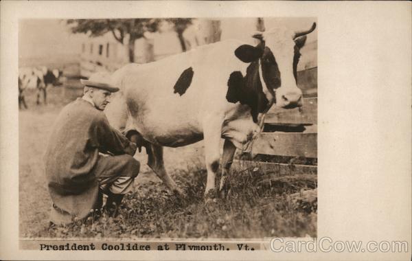 President Coolidge Milking a Cow Plymouth, VT Presidents Postcard