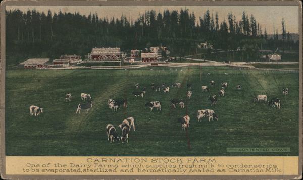 Carnation Stock Farm. Contented Cows 1915 Panama-Pacific International ...