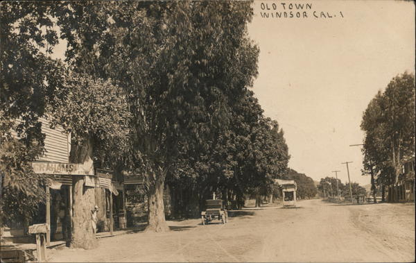 Old Town Windsor, CA Postcard