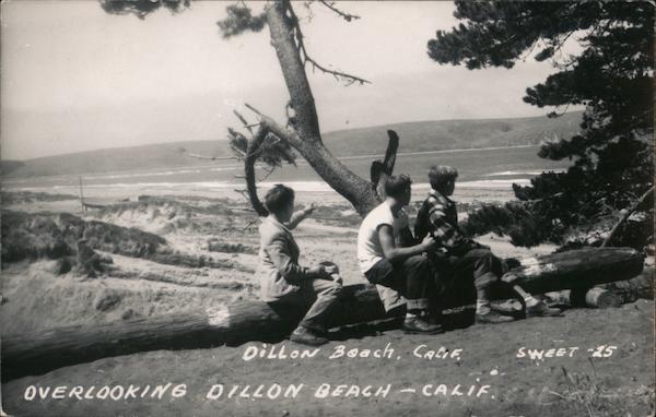 Overlooking Dillon Beach. Three boys sitting on log looking at surf ...