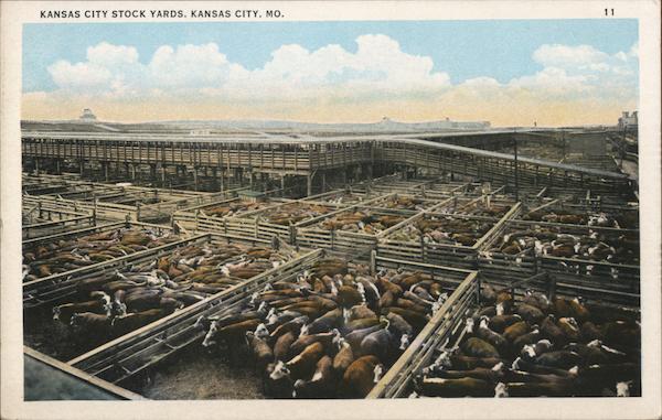 Kansas City Stock Yards Missouri Postcard