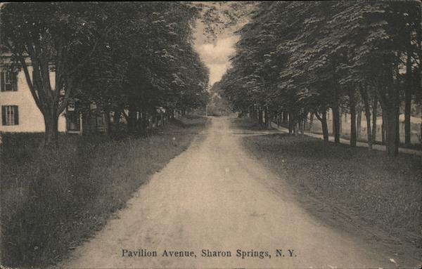 Pavilion Ave Sharon Springs, NY Postcard