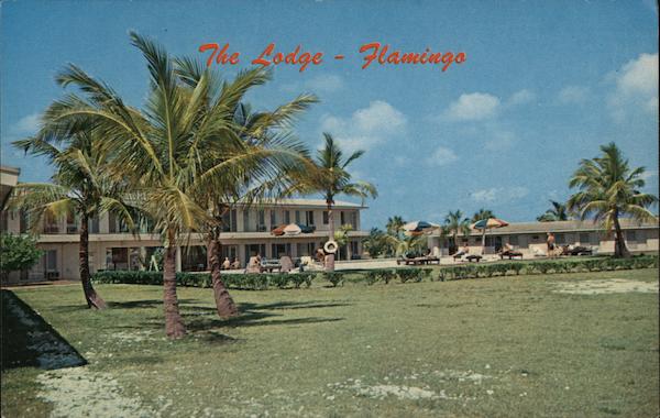 The Lodge - Flamingo Everglades National Park, FL Postcard