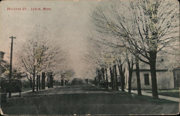 Bellevue Street Leslie, MI Postcard