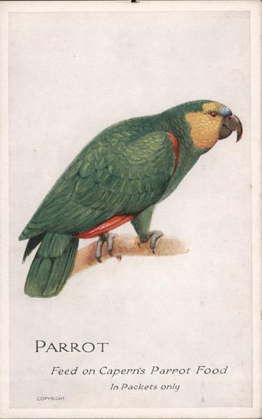 Parrot Feed on Capern's Bird Foods Advertising Postcard